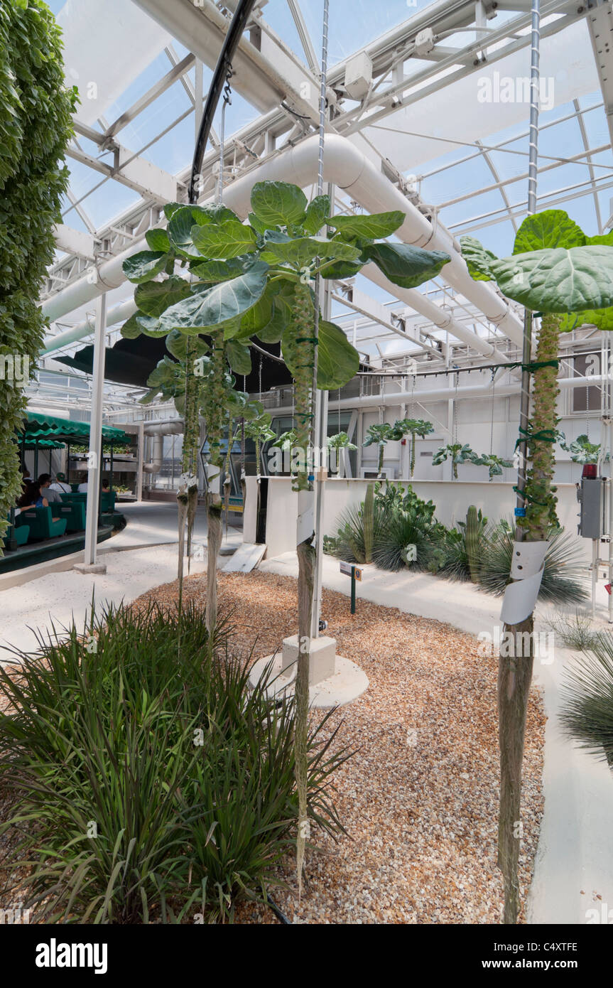 Epcot Theme Park Land Pavilion Walt Disney World Resort Orlando Florida ...