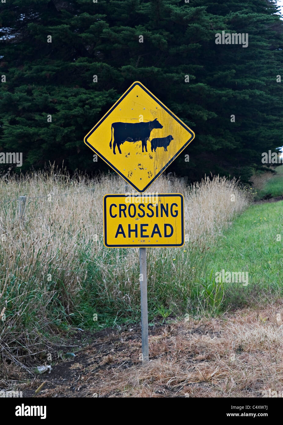 Traffic signage alert drivers hi-res stock photography and images - Alamy