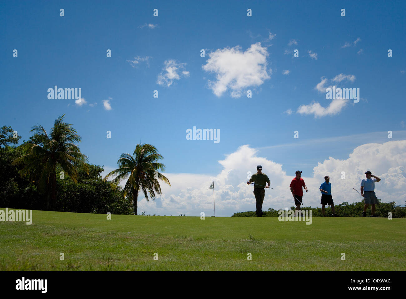 Golfers walk across the a golf course with palm tree's and a rich ...