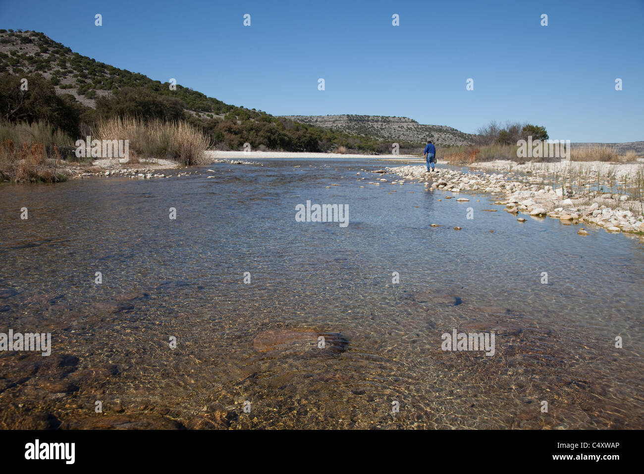 Spring fed stream hi-res stock photography and images - Alamy
