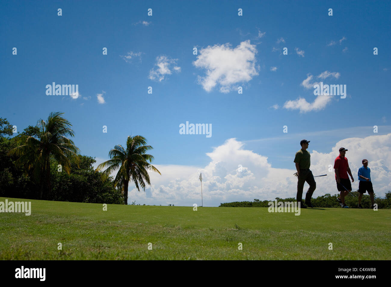 Golfers walk across the a golf course with palm tree's and a rich ...