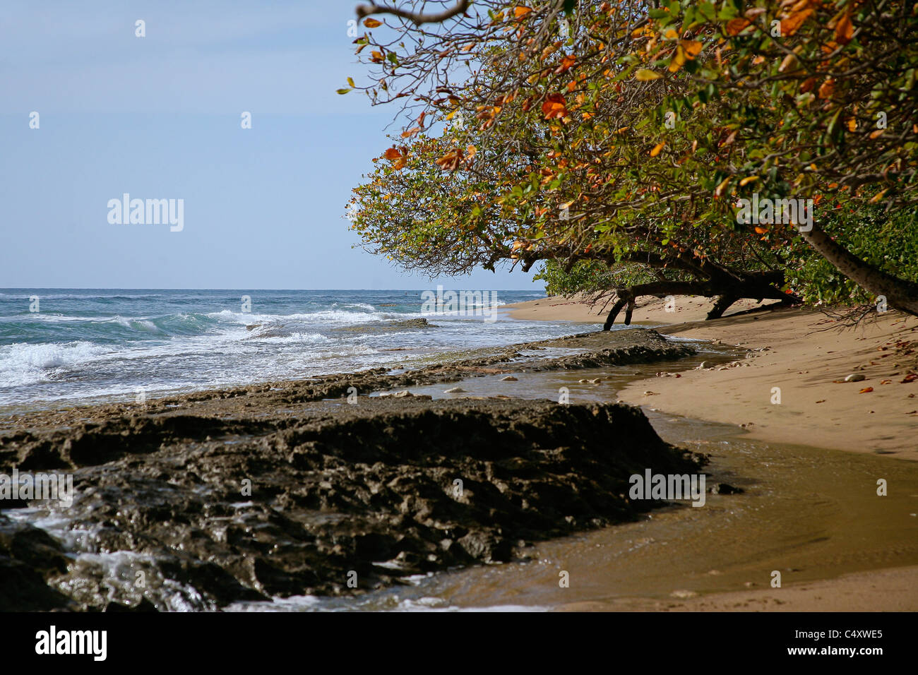 Beach scene in Puerto Rico Stock Photo - Alamy