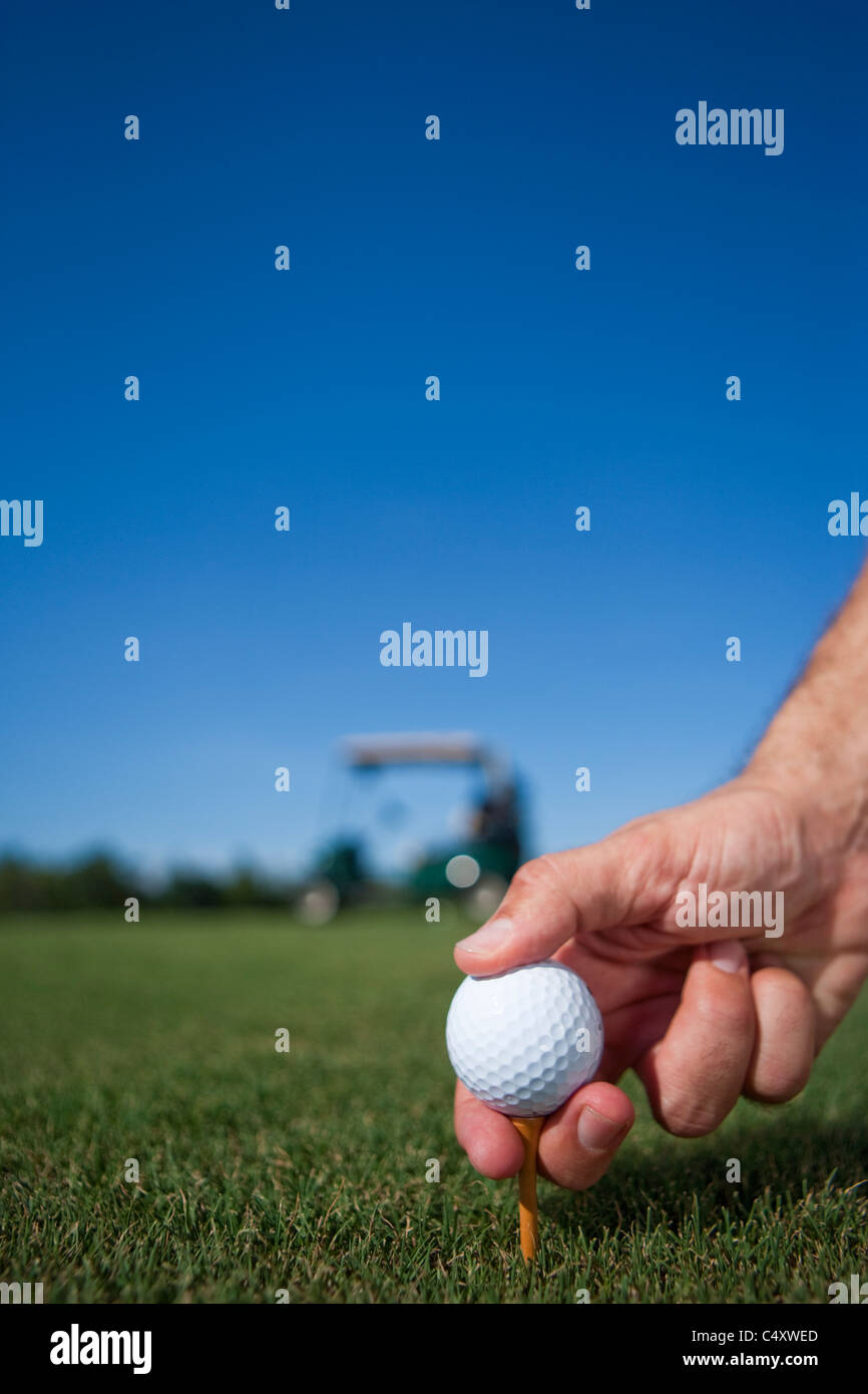 Placing a golf ball on the golf course on a summer's day with a golf ...