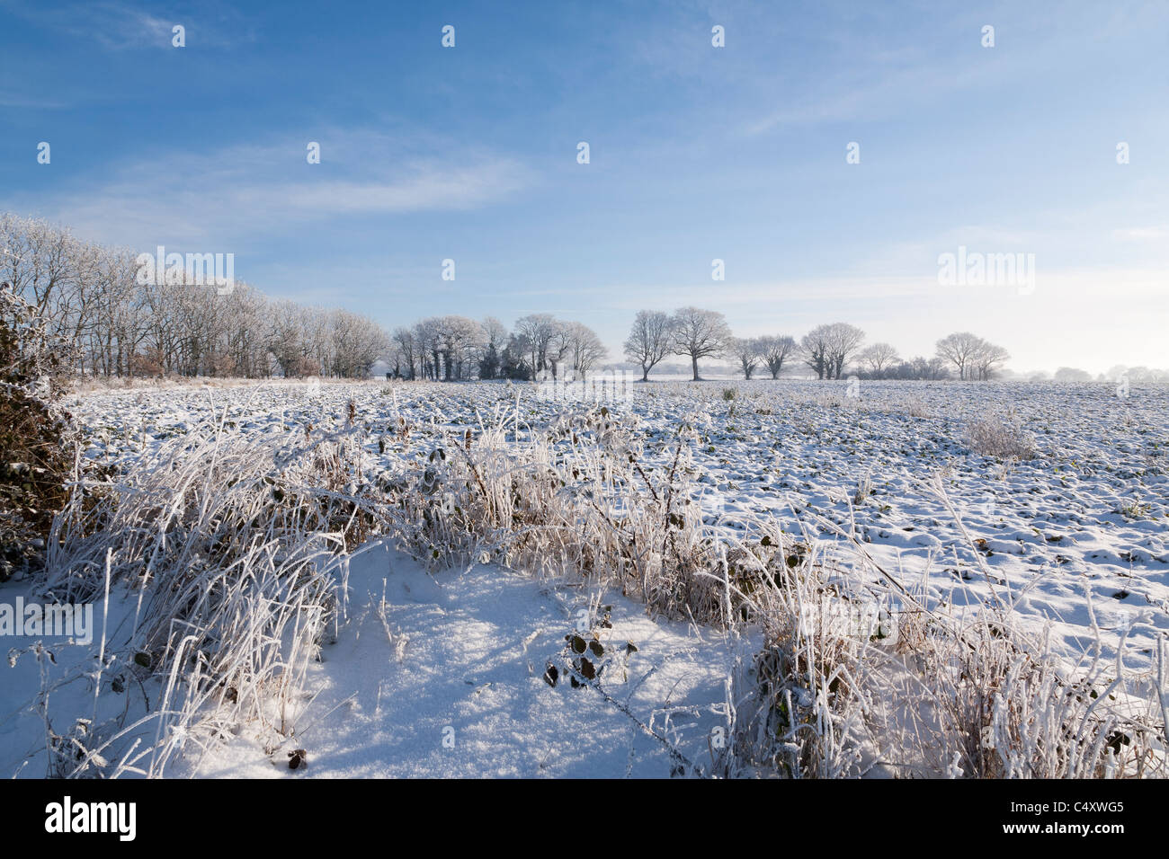 Winter landscape snow norfolk uk hi-res stock photography and images ...