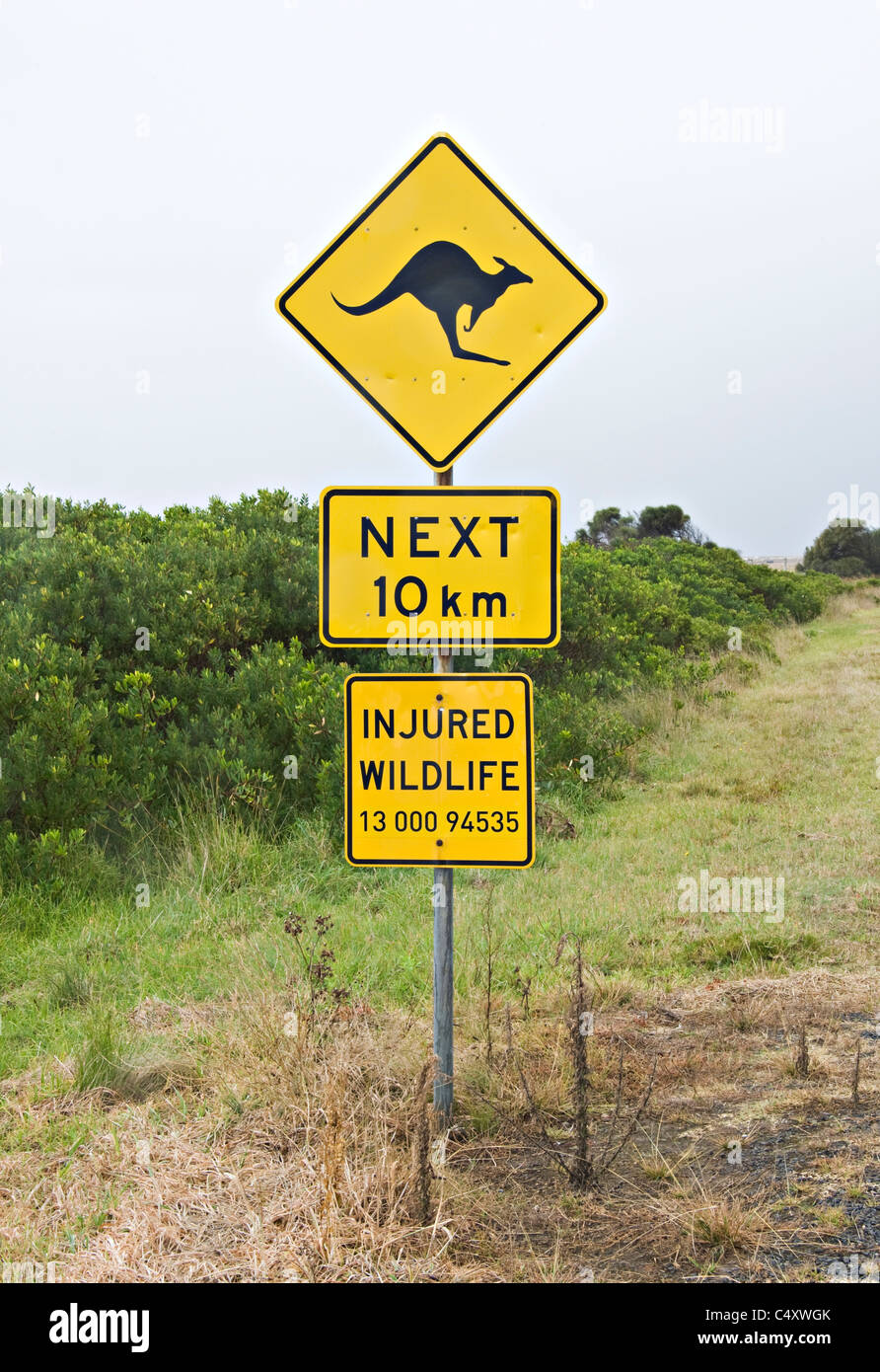 Kangaroo warning sign victoria hi-res stock photography and images - Alamy
