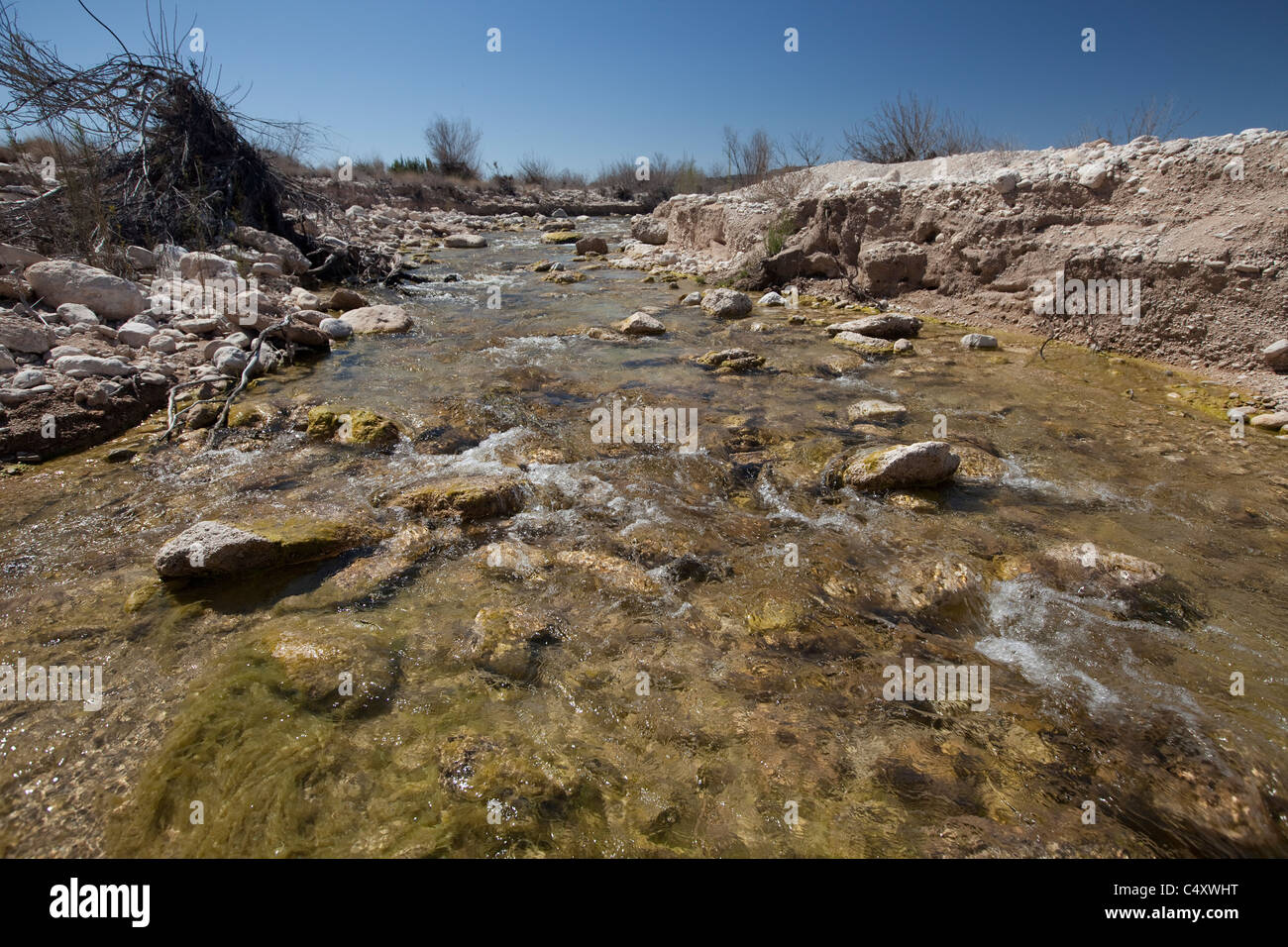 Spring fed stream hi-res stock photography and images - Alamy