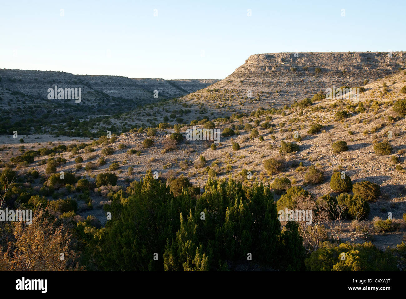Mesas dotted with ashe juniper trees rise above both sides of ...