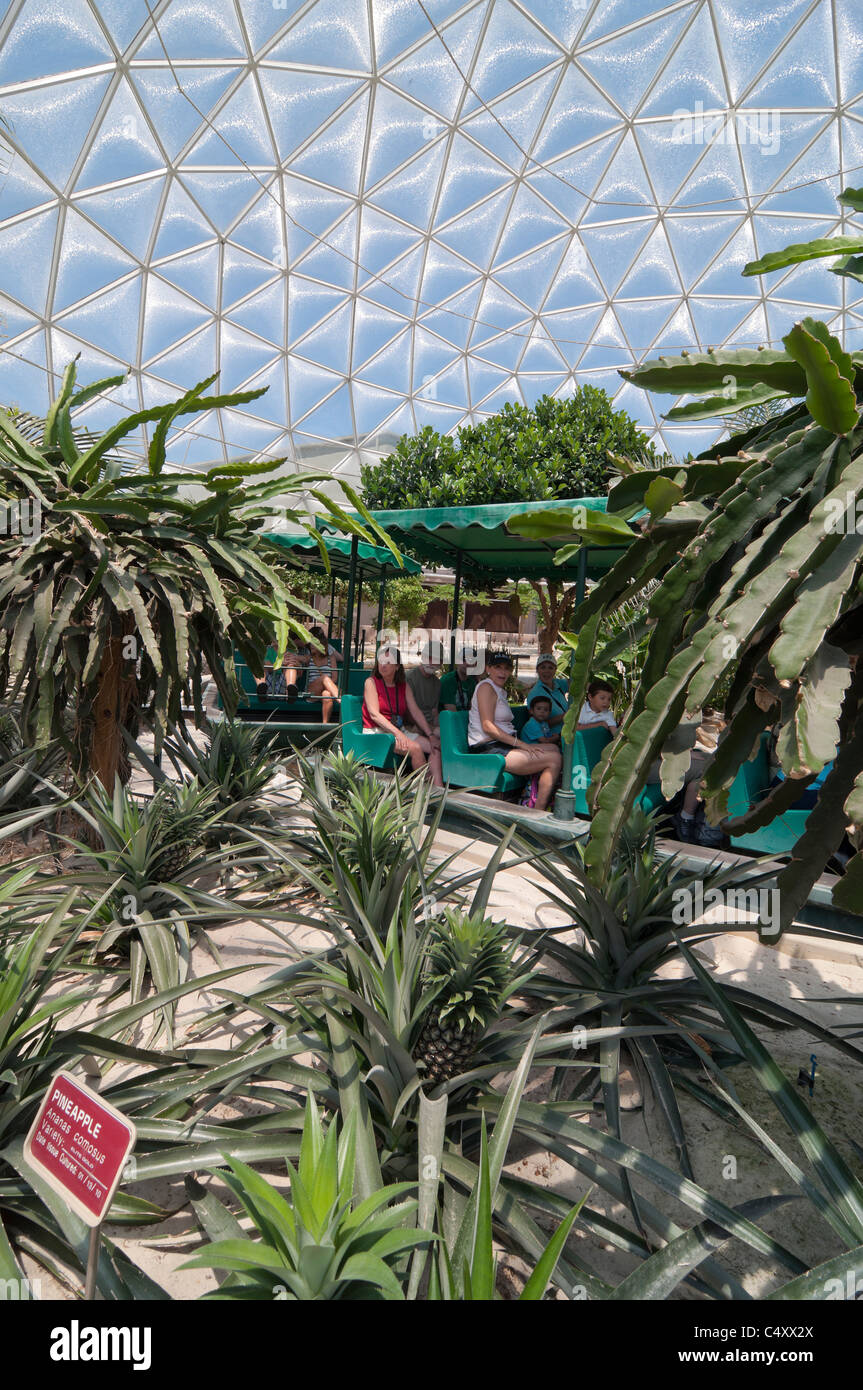 Hydroponic farming at the epcot center hi-res stock photography and ...