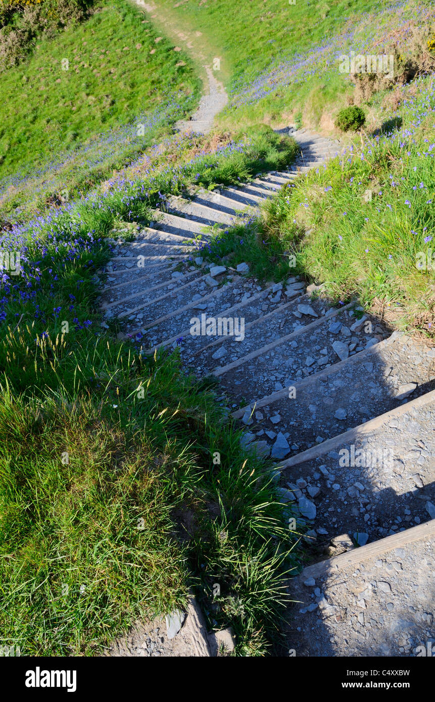 Coastline path britain hi-res stock photography and images - Alamy