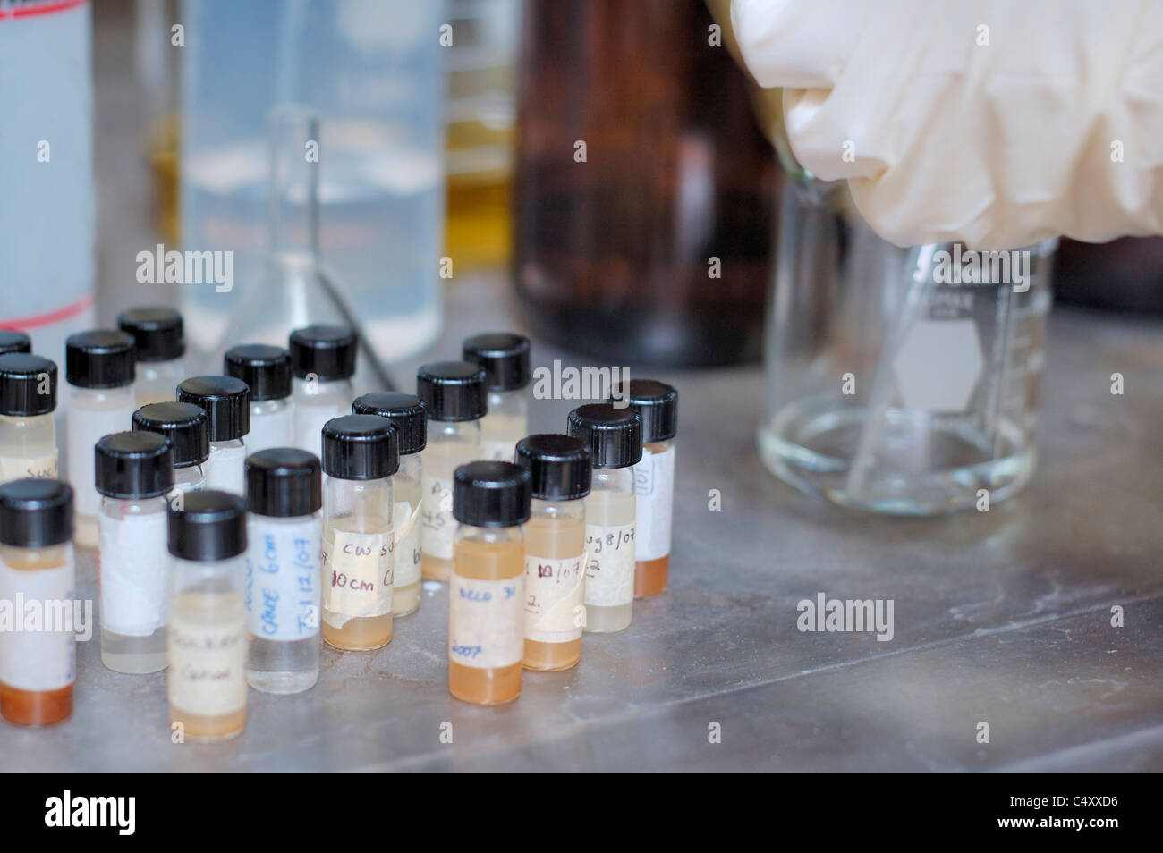 Female biologist working in the lab Stock Photo - Alamy