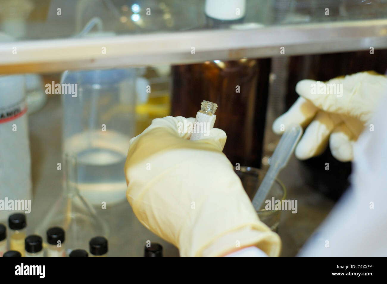 Female biologist working in the lab Stock Photo - Alamy