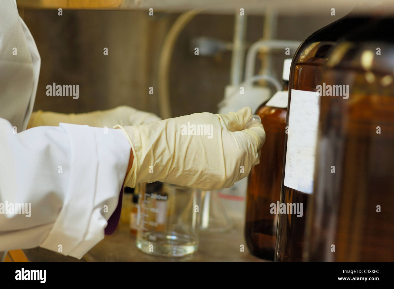 Female biologist working in the lab Stock Photo - Alamy