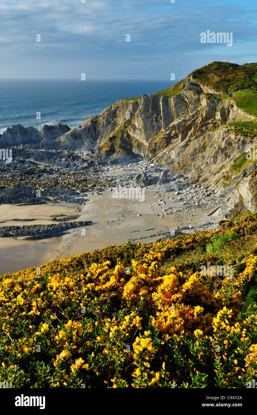 The North Devon coast at Rockham Bay, Mortehoe, Devon, England Stock ...