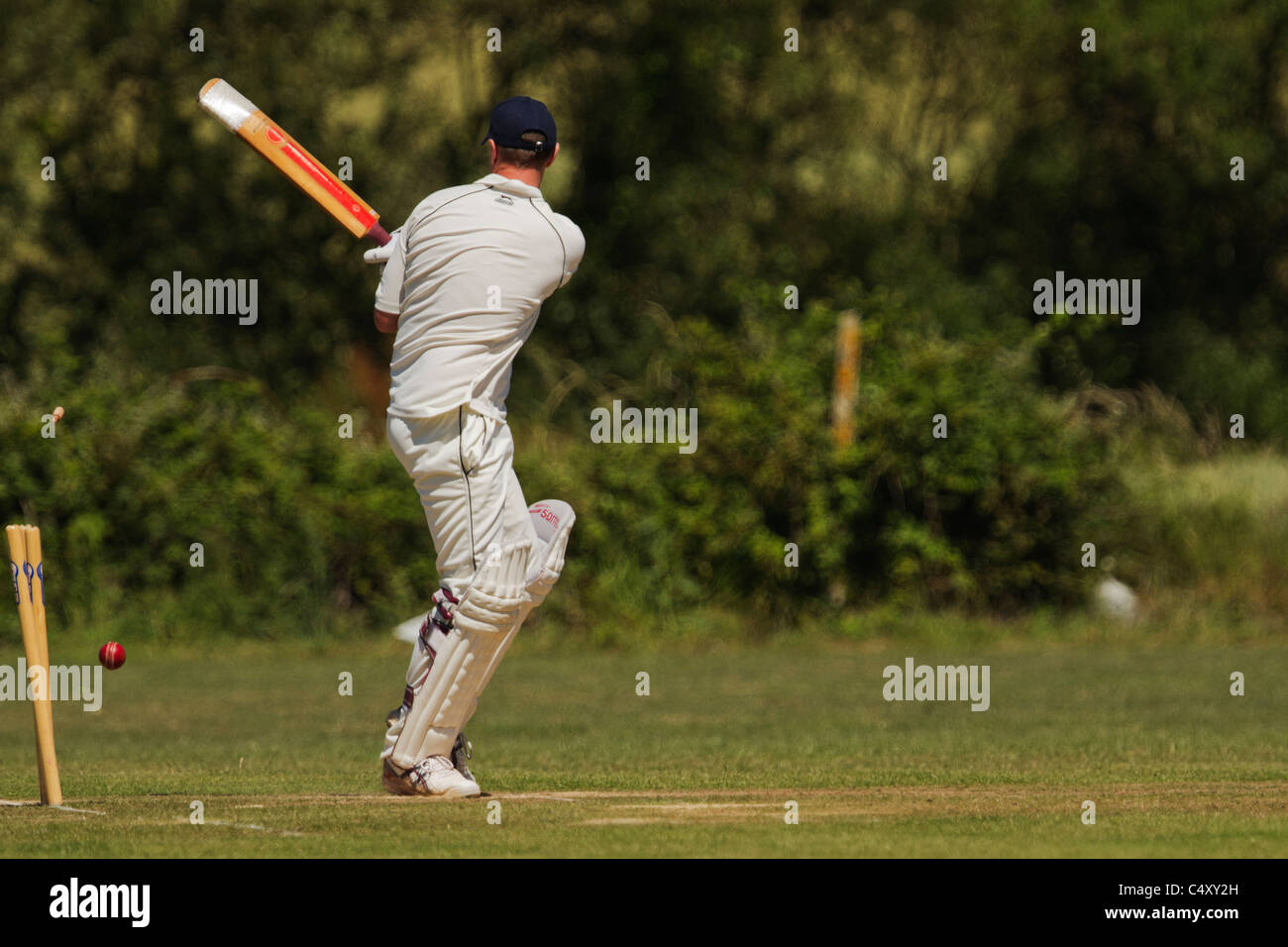A batsman being bowled out in a cricket match Stock Photo - Alamy