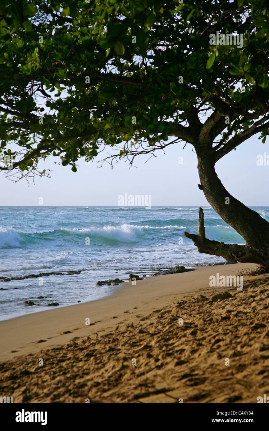 Puerto rico beaches hi-res stock photography and images - Alamy