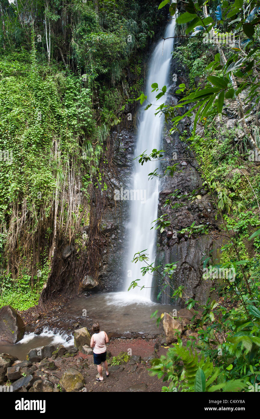 St vincent caribbean waterfall hi-res stock photography and images - Alamy