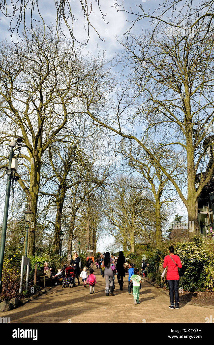 People walking along tree lined path Horniman Museum Gardens on a sunny ...