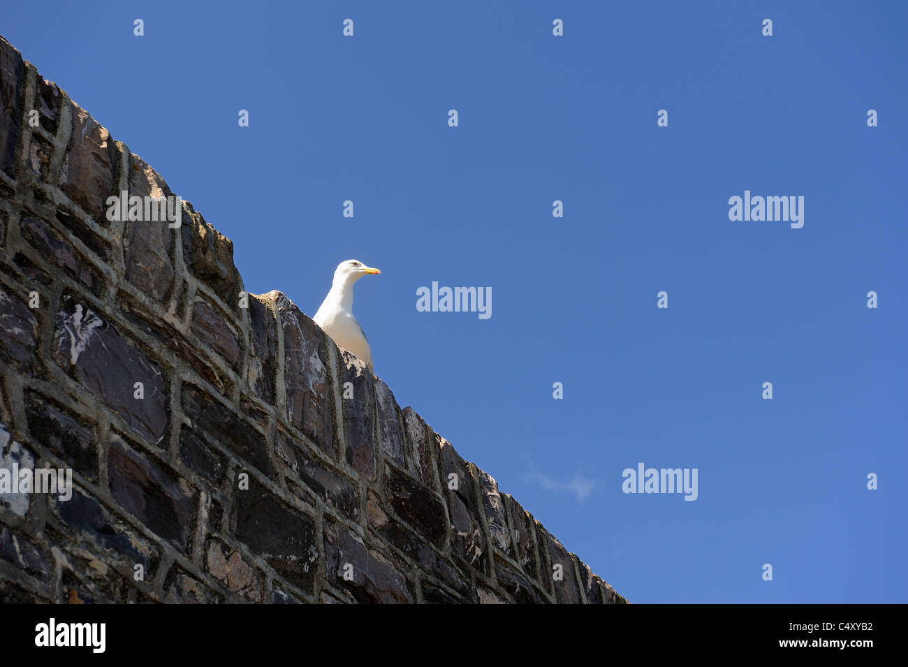 Dawlish sea wall hi-res stock photography and images - Alamy