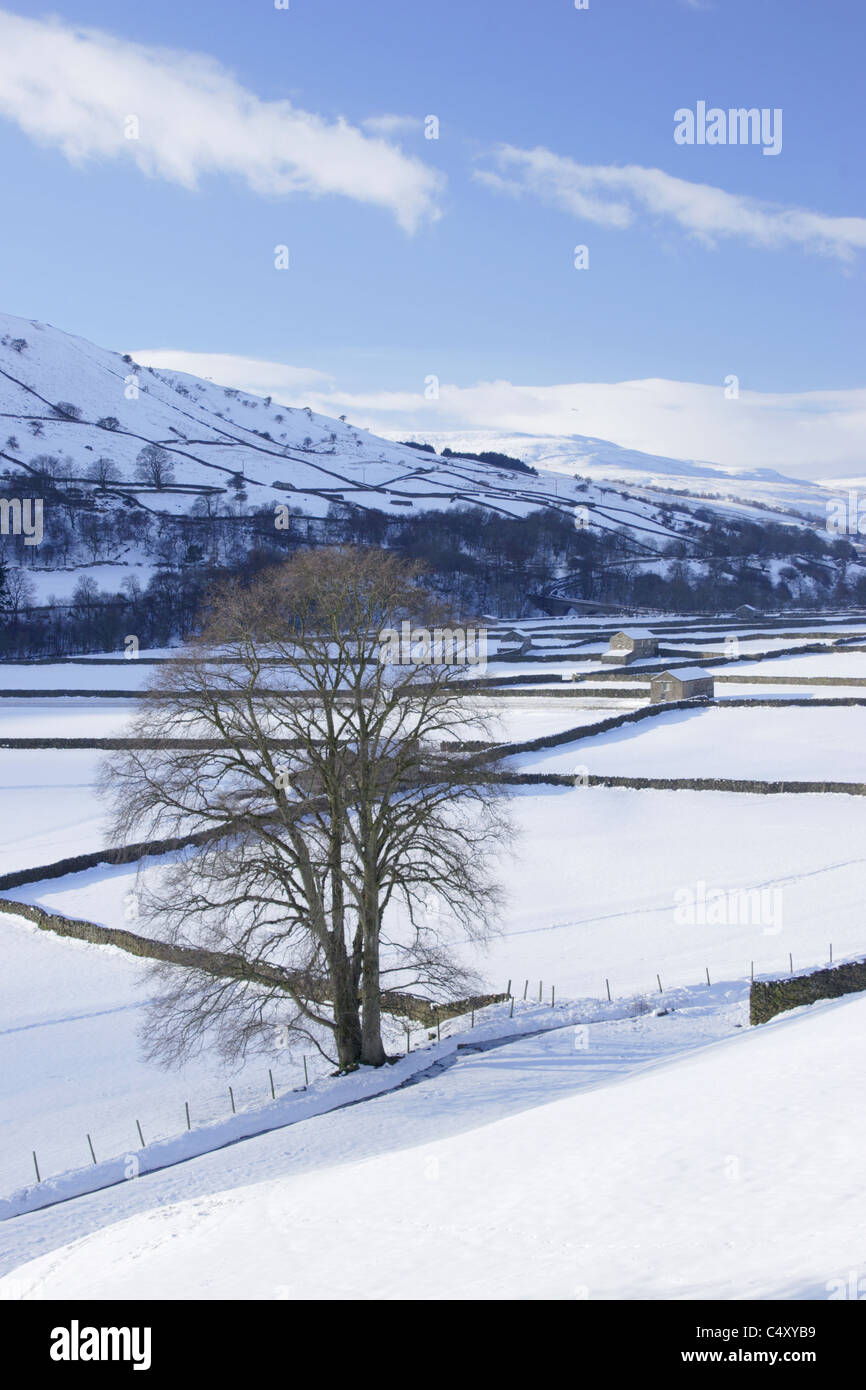 View from bottom of Valley in heavy snow, Gunnerside, Swaledale ...