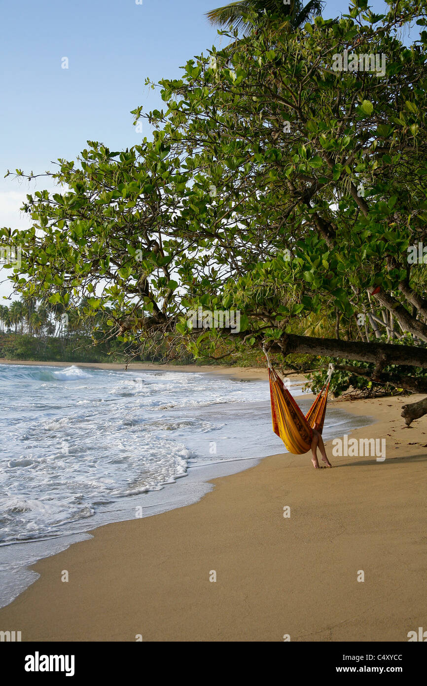 Beach hammock in Puerto Rico near Rincon Stock Photo - Alamy