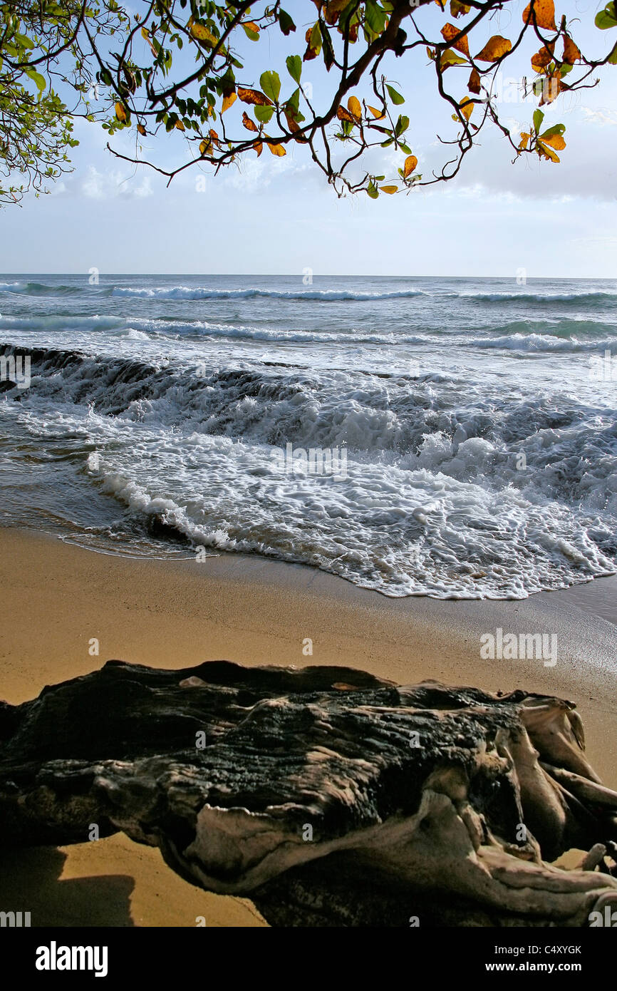 Puerto rico tourism caribbean beaches hi-res stock photography and ...