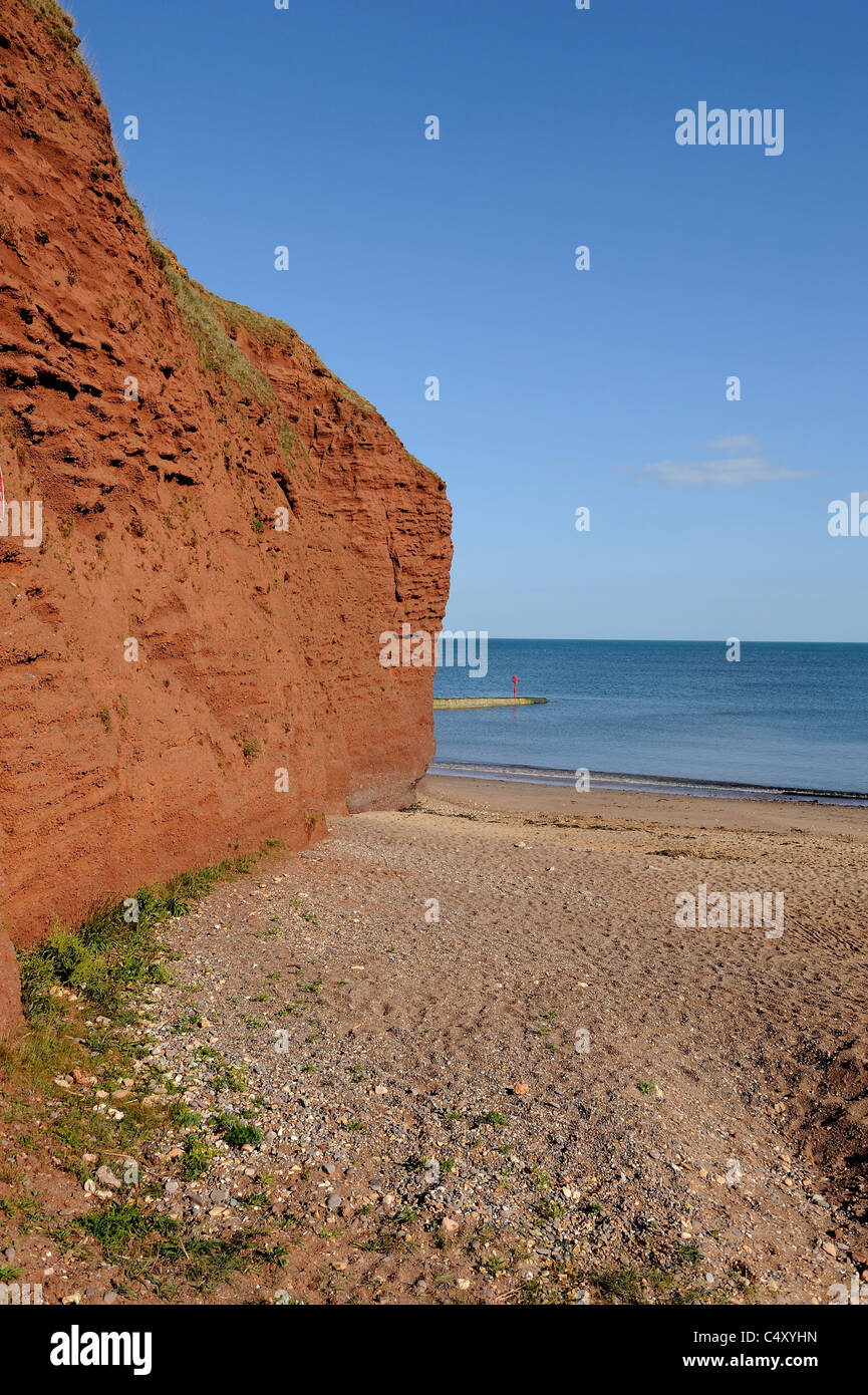 red rock beach dawlish devon england uk Stock Photo - Alamy