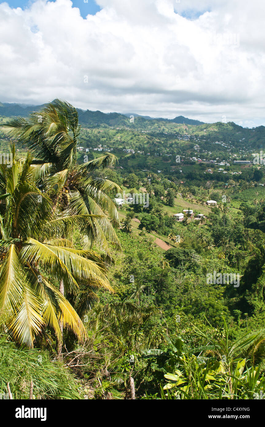 Mesopotamia Valley, St. Vincent & The Grenadines Stock Photo - Alamy