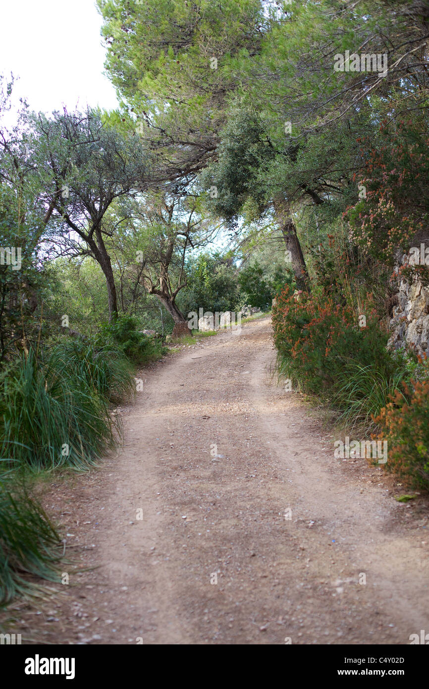 Majorca, Spain, Iberia, Island Stock Photo - Alamy
