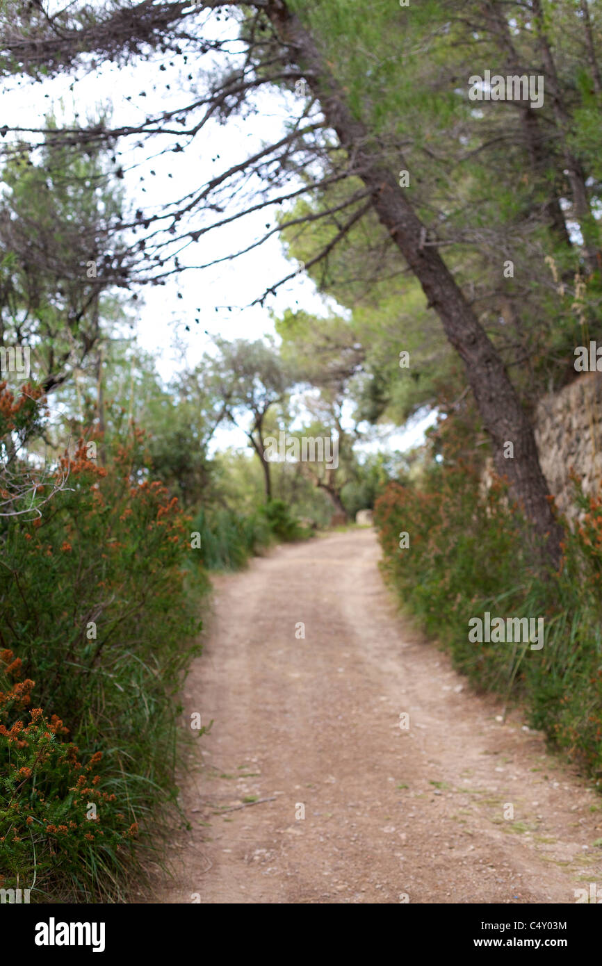 Majorca, Spain, Iberia, Island Stock Photo - Alamy