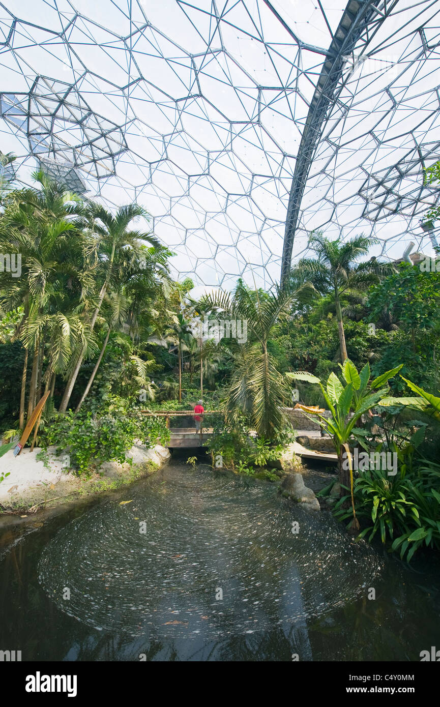 The Eden Project, Rainforest Biome, Greenhouse, Cornwall, England Stock ...