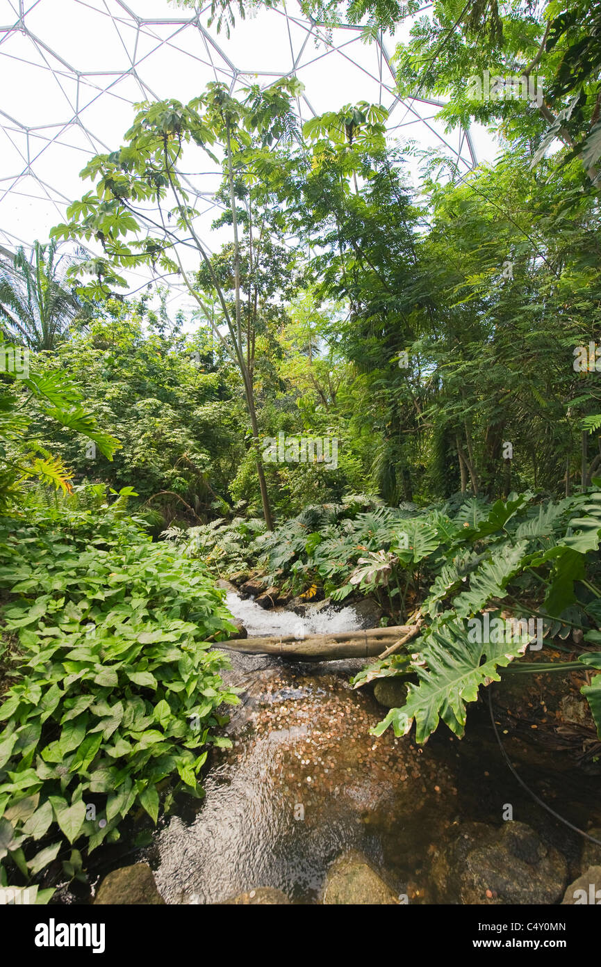 Pennies in pool, The Eden Project, Rainforest Biome, Greenhouse ...