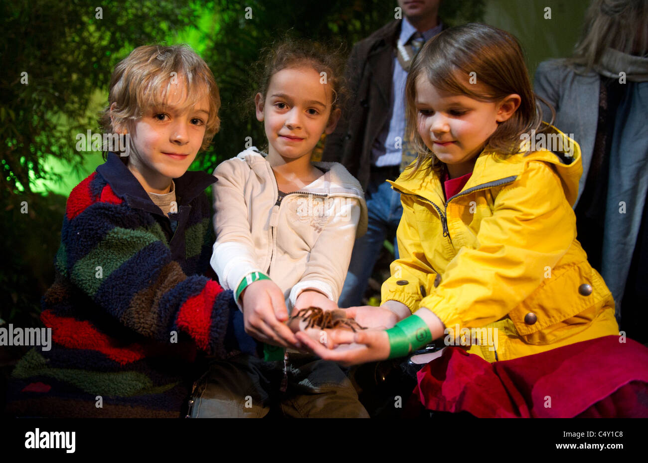 Children spider kids child Stock Photo - Alamy