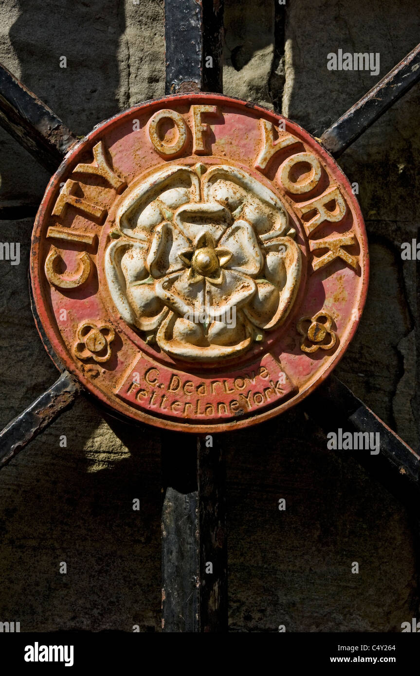 Yorkshire rose hi-res stock photography and images - Alamy