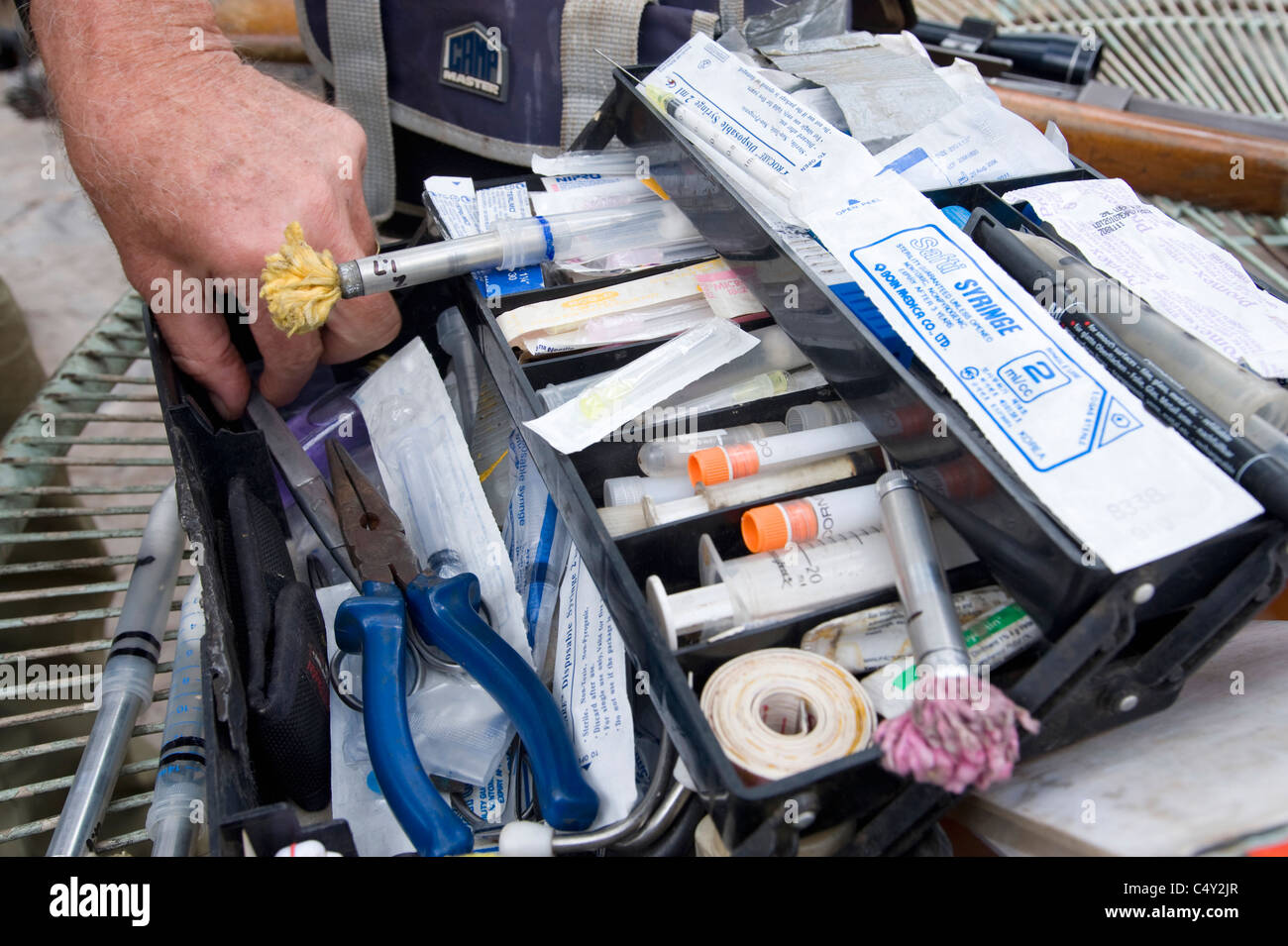 Veterinarians Vets African Vets operating operation wild animal ...