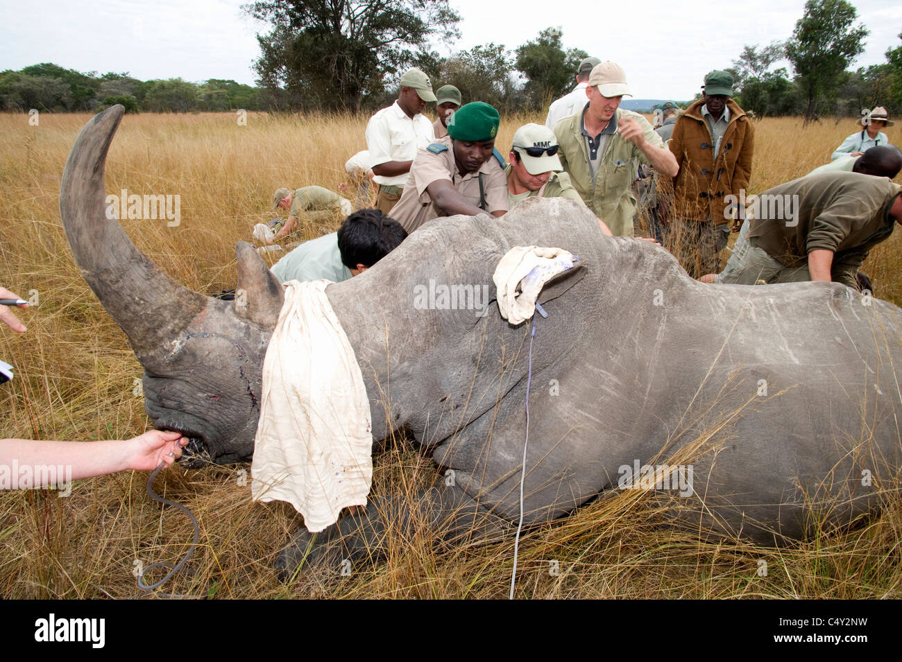 Intervene african hi-res stock photography and images - Alamy