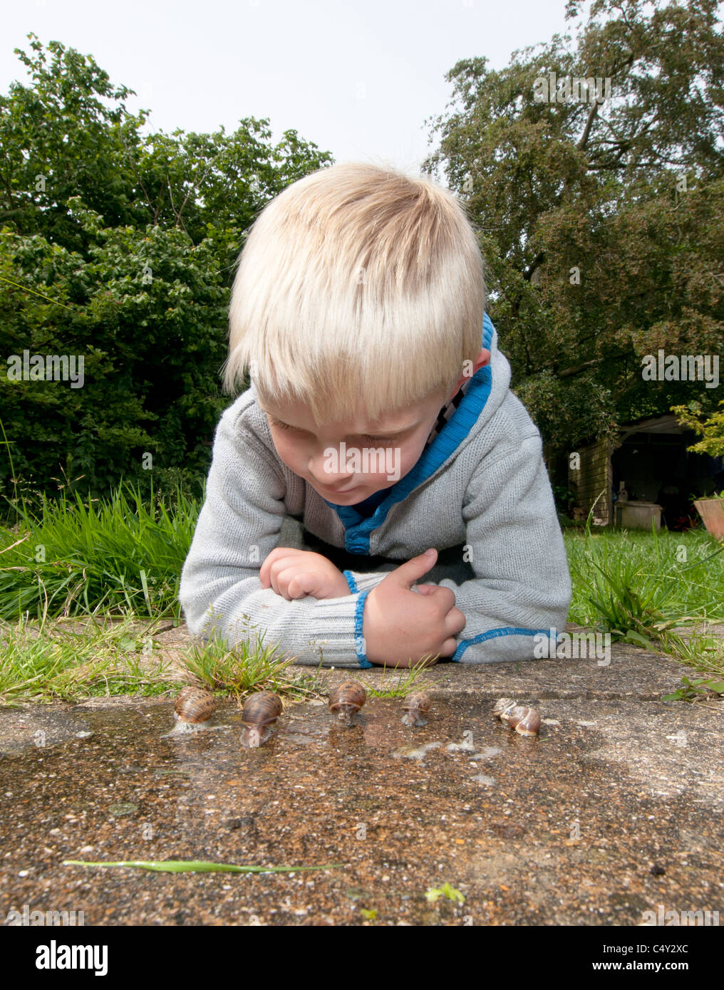 Small boy watching snails racing Stock Photo - Alamy