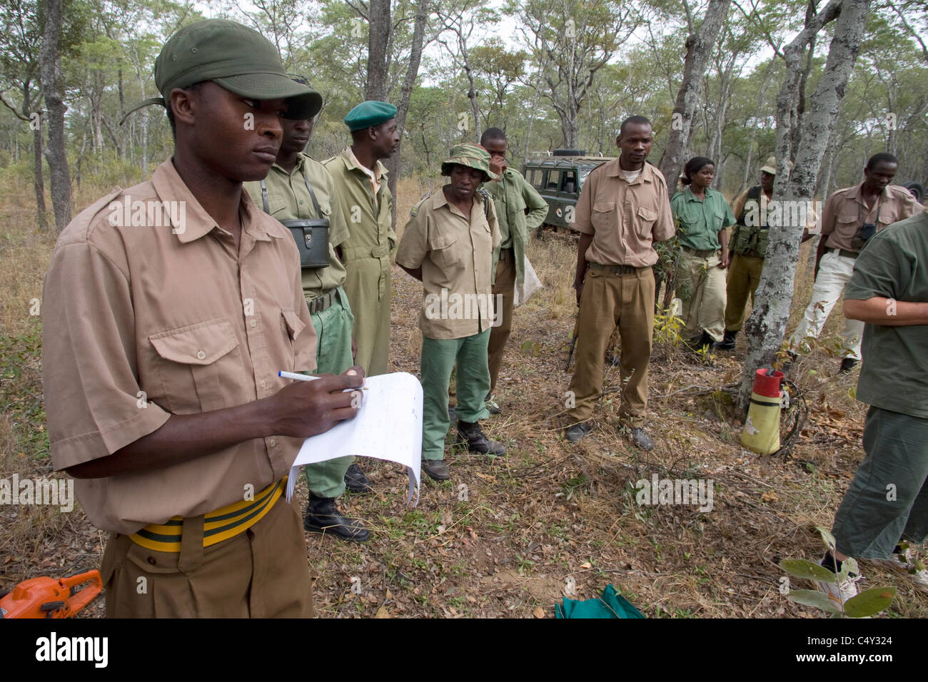 Veterinarians Vets African Vets operating operation wild animal ...