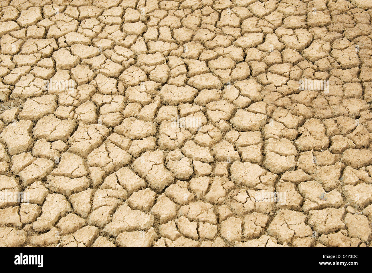Dried Up River Bed Drought High Resolution Stock Photography and Images ...