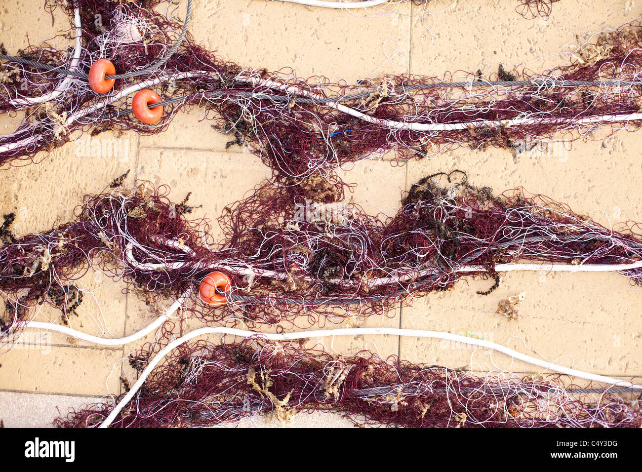 Majorca, Spain, Iberia, Island Stock Photo - Alamy