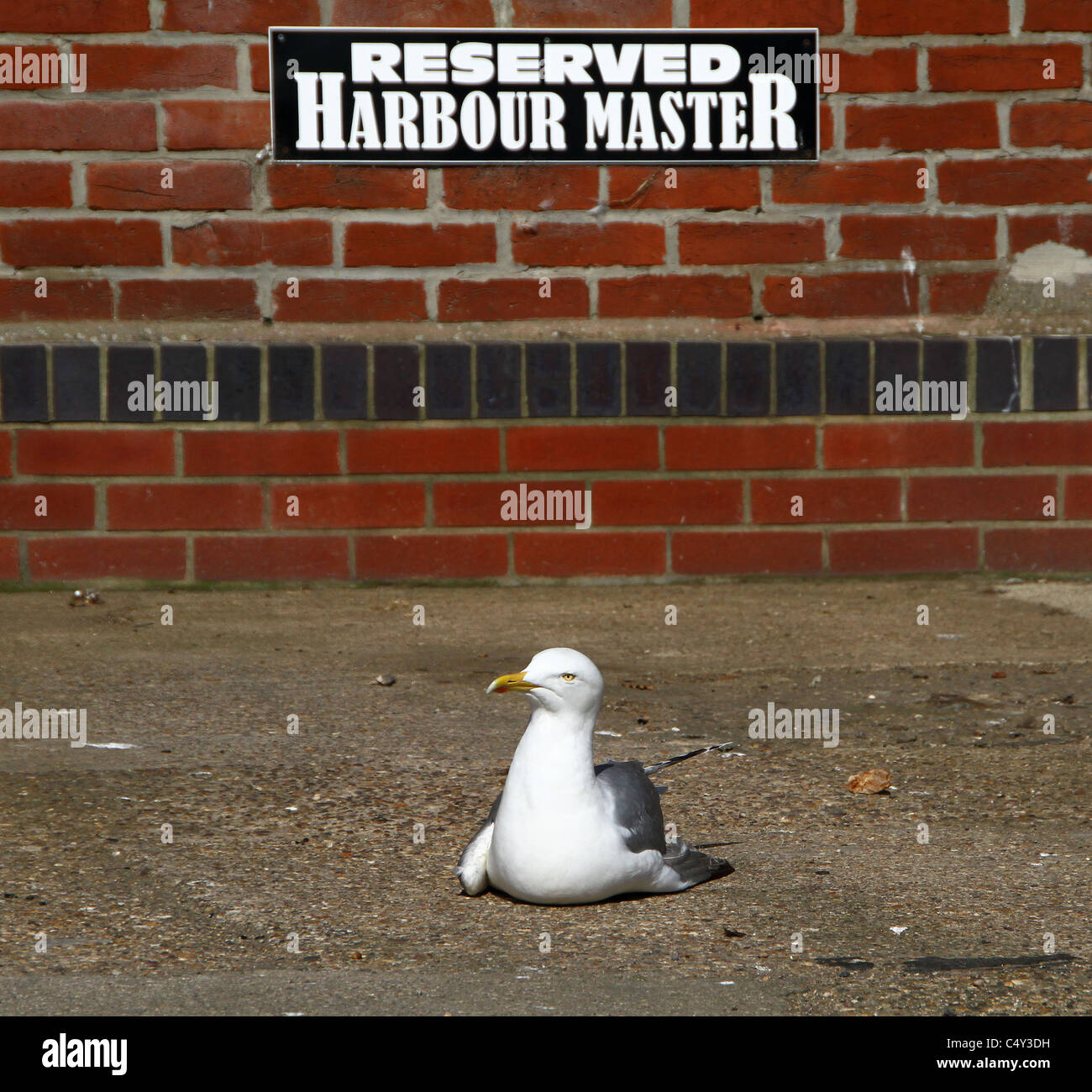 The harbour master Stock Photo - Alamy