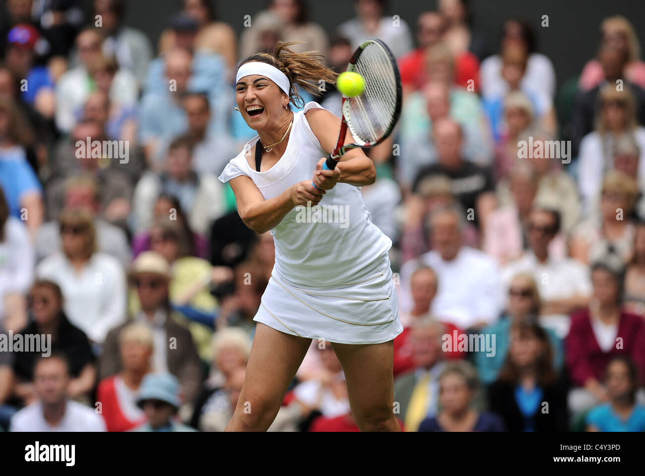 Aravane rezai hi-res stock photography and images - Alamy