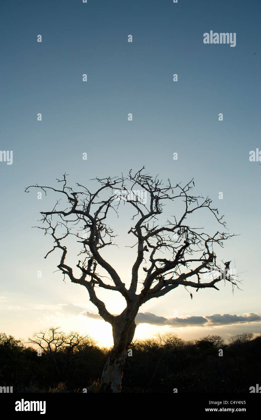 Save valley conservancy hi-res stock photography and images - Alamy