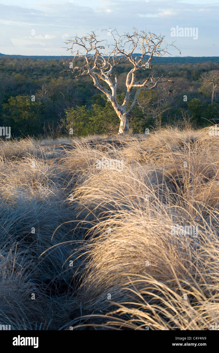 Save valley conservancy hi-res stock photography and images - Alamy