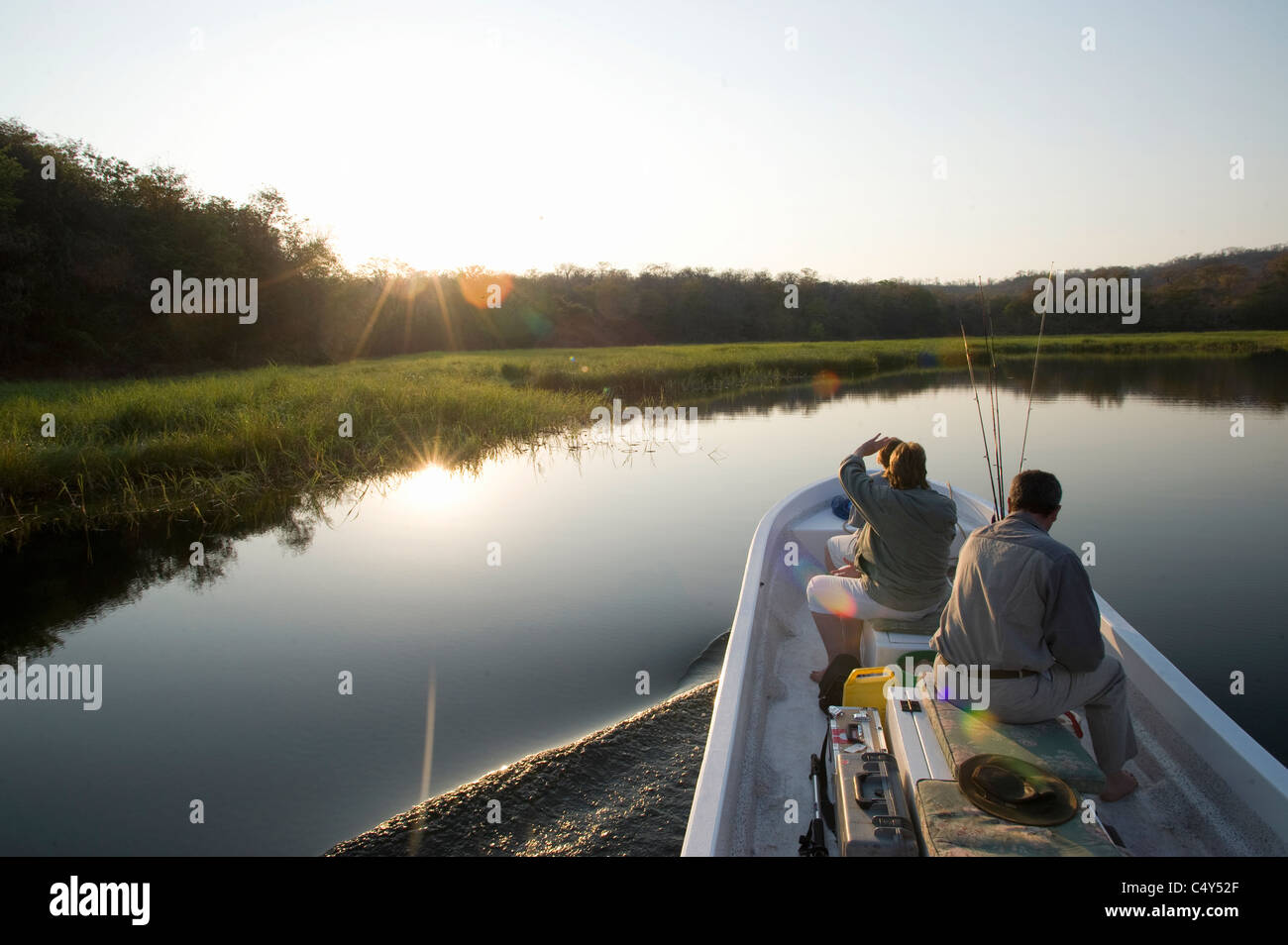 Kariba bream fish hi-res stock photography and images - Alamy