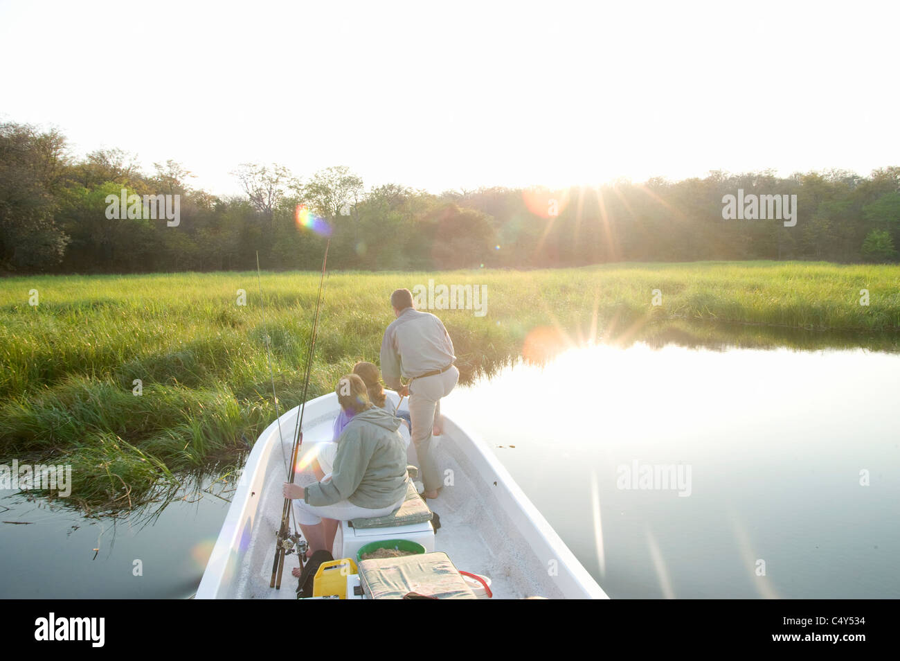 Kariba bream fish hi-res stock photography and images - Alamy