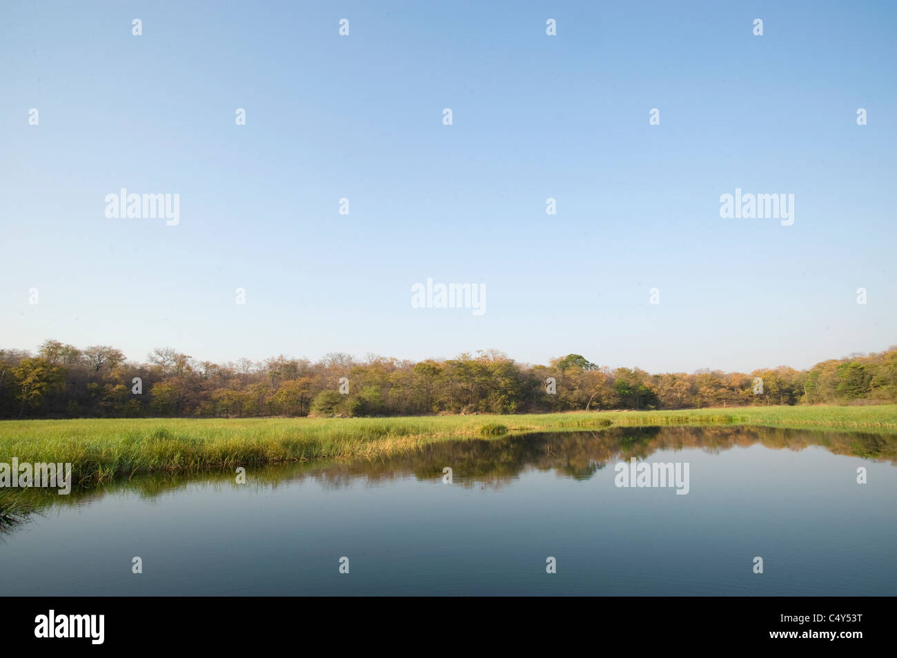 Kariba bream fish hi-res stock photography and images - Alamy