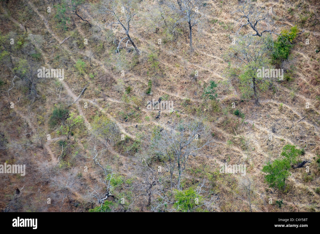 Chizarira national park hi-res stock photography and images - Alamy