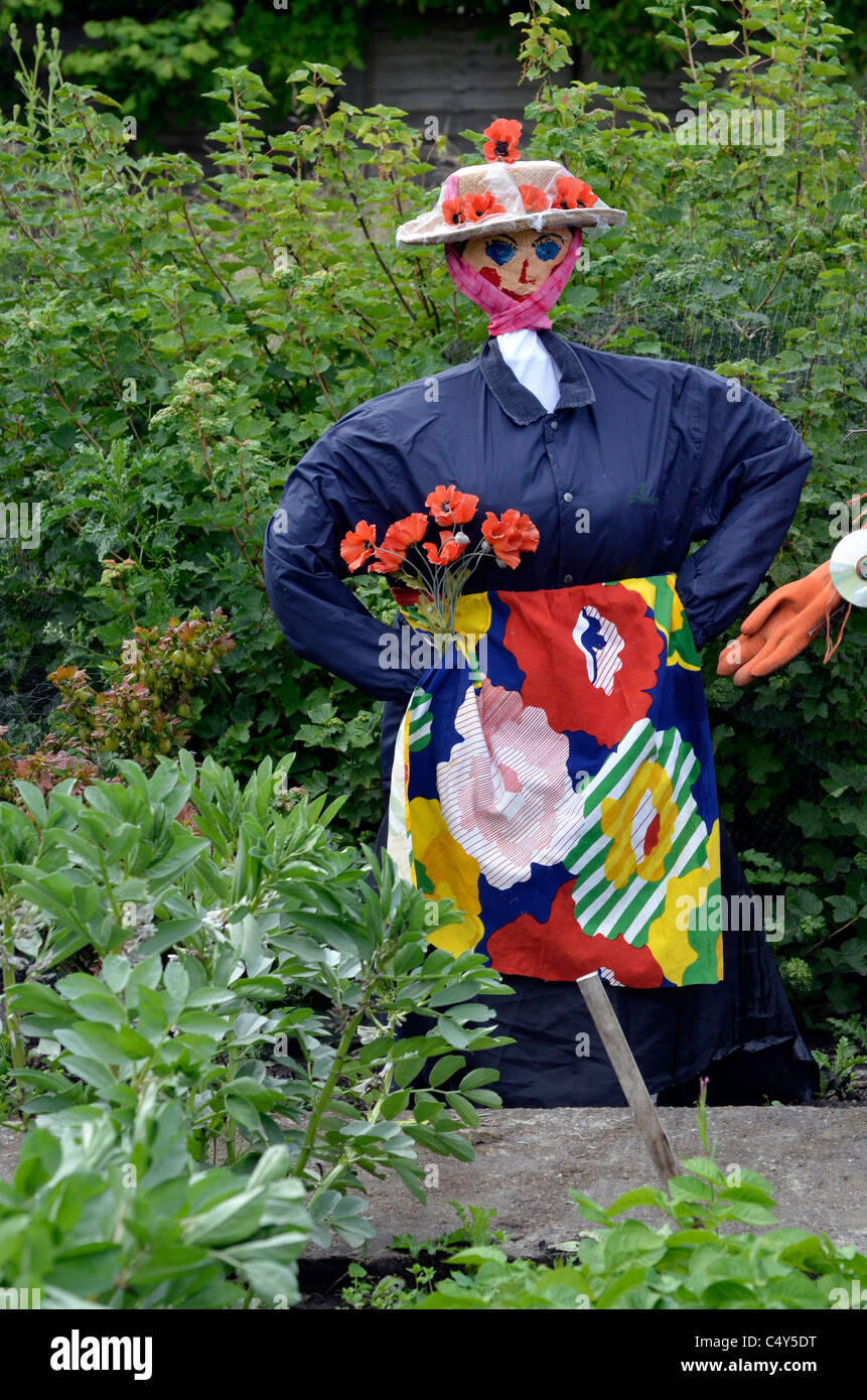 Scarecrow bird hi-res stock photography and images - Alamy