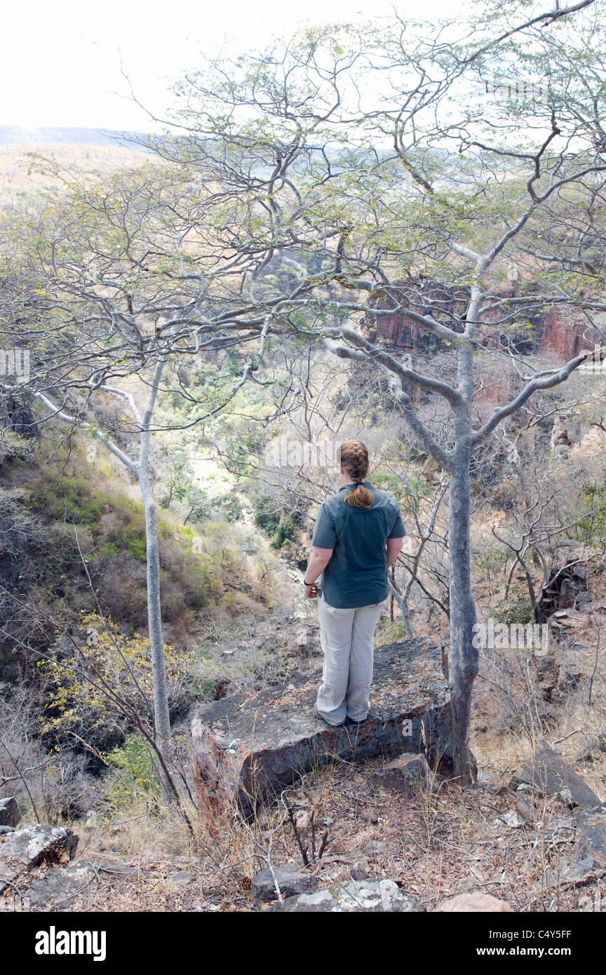 A view into a gorge in Chizarira National Park Zimbabwe Stock Photo - Alamy