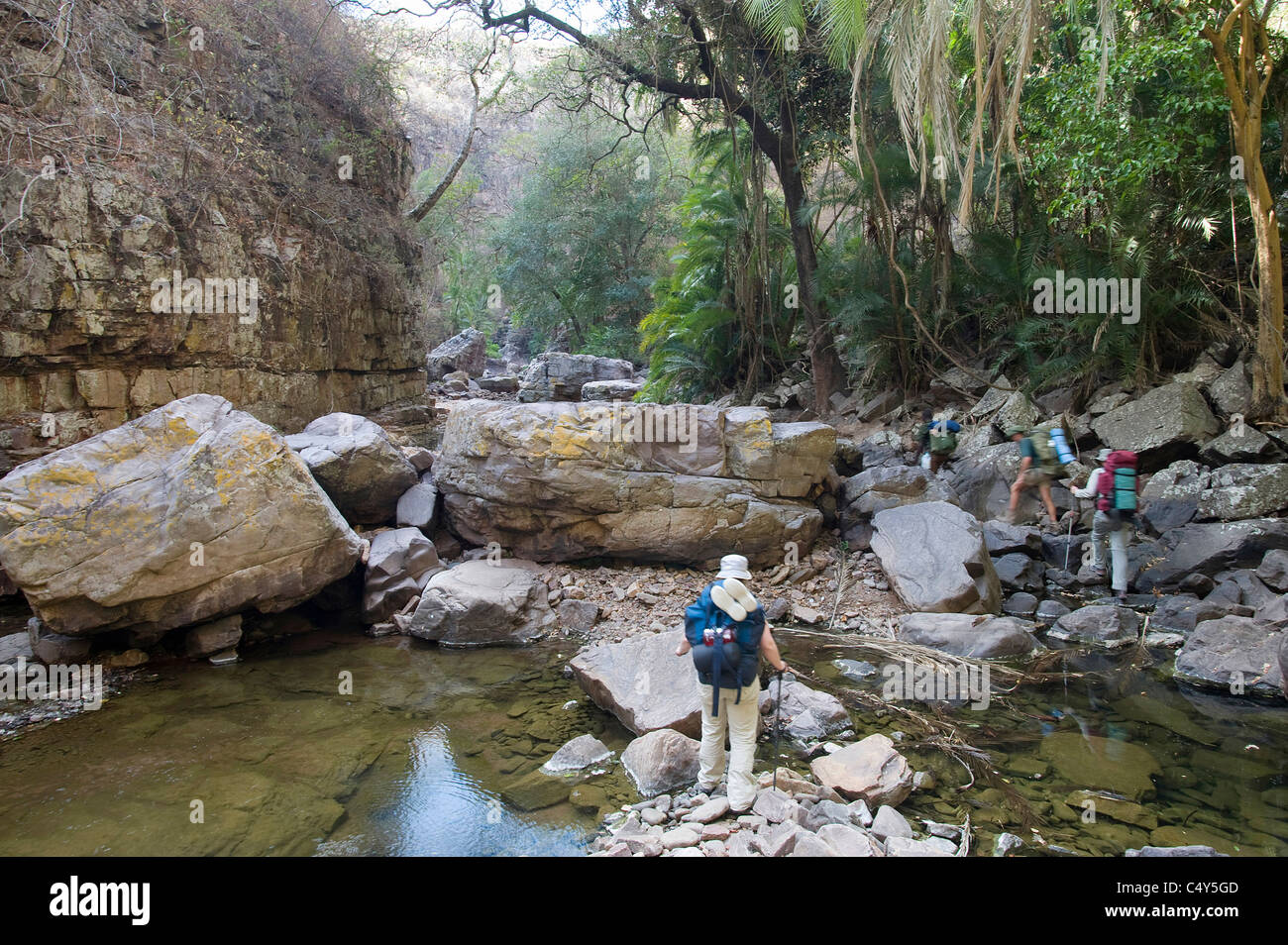 A lush gorge in Zimbabwe's Chizarira National Park Stock Photo - Alamy